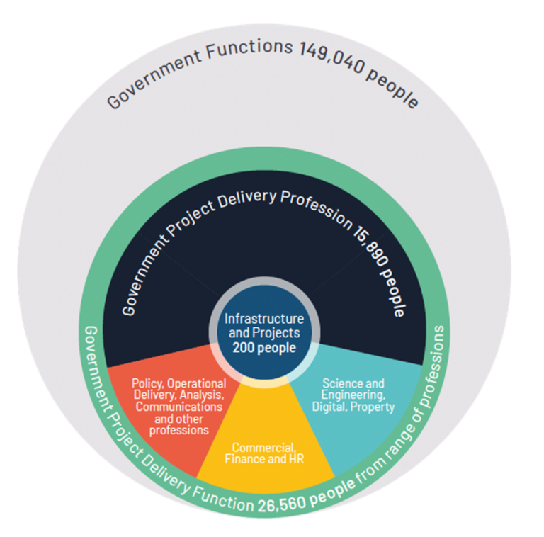 Function strategy for 2025 - Government Project Delivery