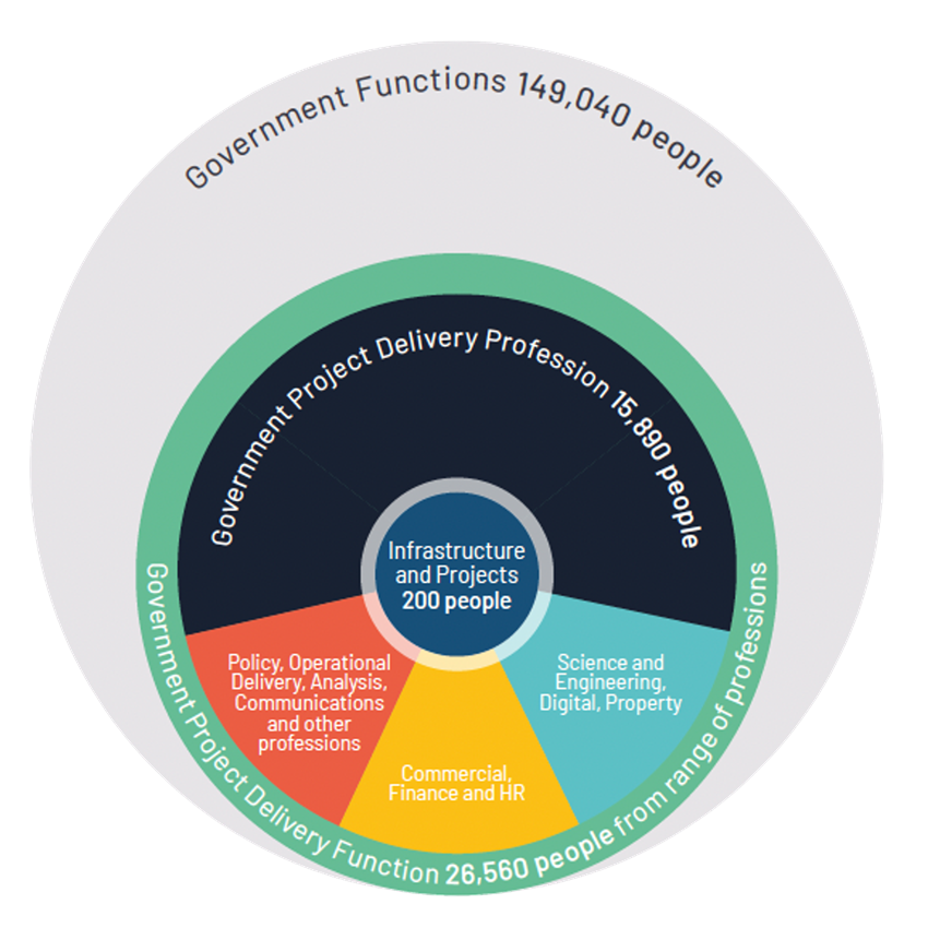 Function strategy for 2025 - Government Project Delivery