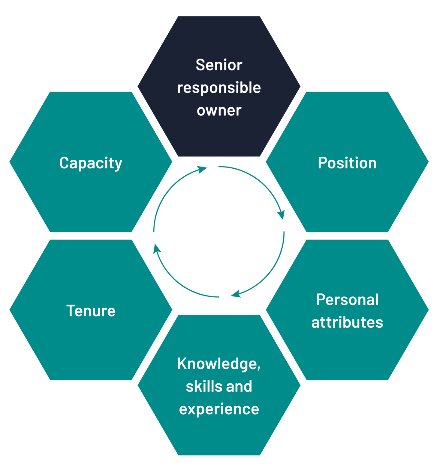 The role of the senior responsible owner (HTML) - Government Project ...